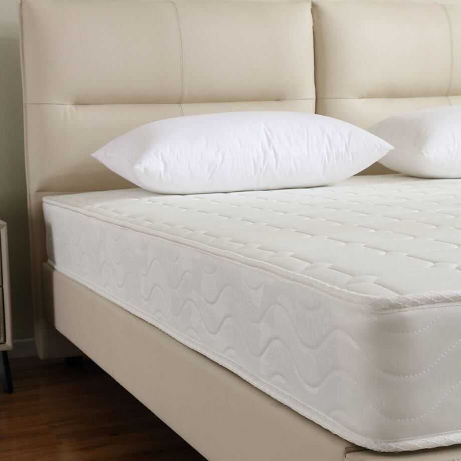 Good Price Nature King With Box Quality Value Twin Compress Roll In Box ...