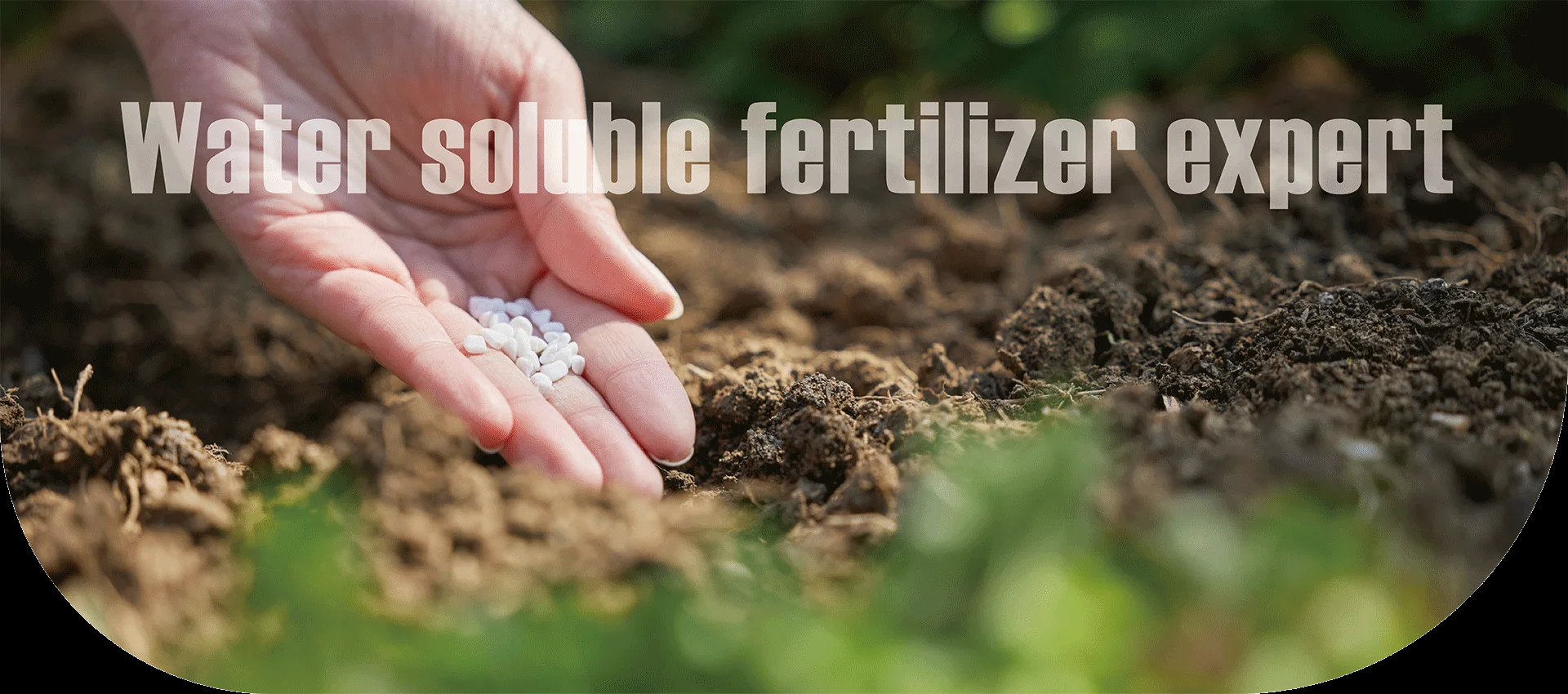 Multi-purpose Can Fertilizer Solution | Balanced Npk & Calcium Support ...