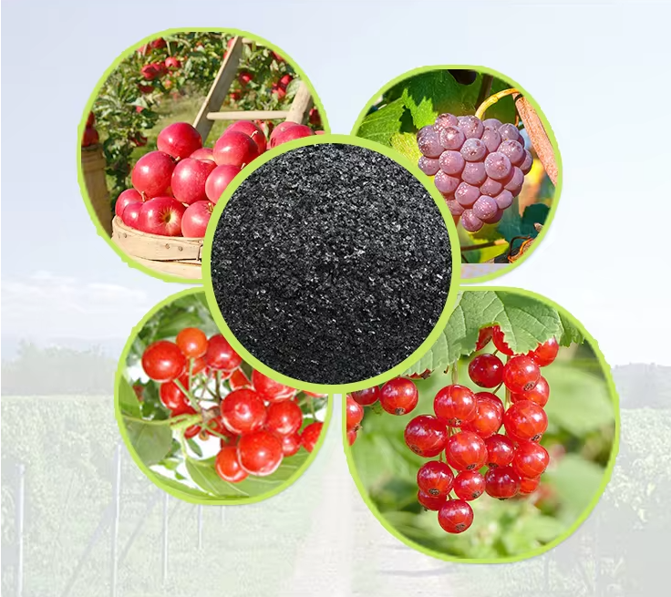 Multi-purpose Can Fertilizer Solution | Balanced Npk & Calcium Support ...