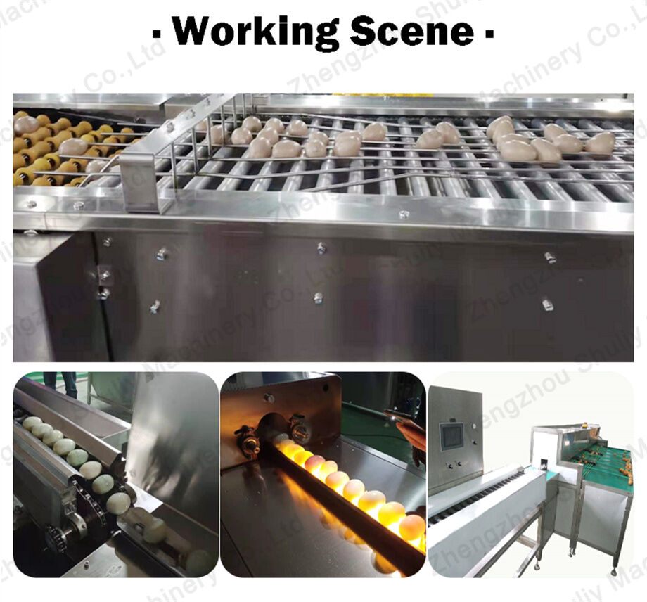 Large Electronic Egg Grading Sorting Machine - China Wholesale Egg ...