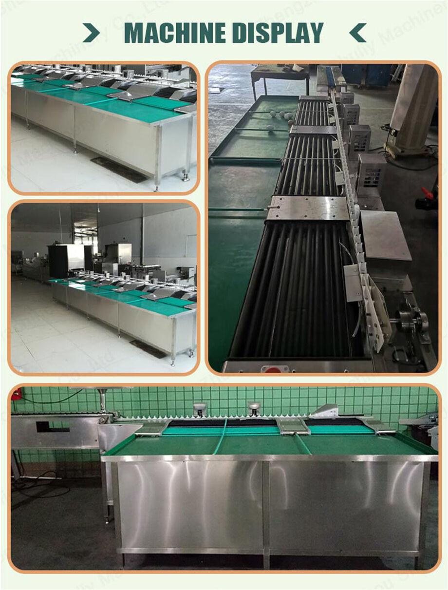 Large Electronic Egg Grading Sorting Machine - China Wholesale Egg ...