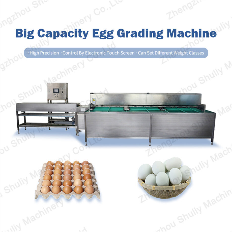 Bulk Buy China Wholesale Egg Sorter Processing Grading And Packing ...