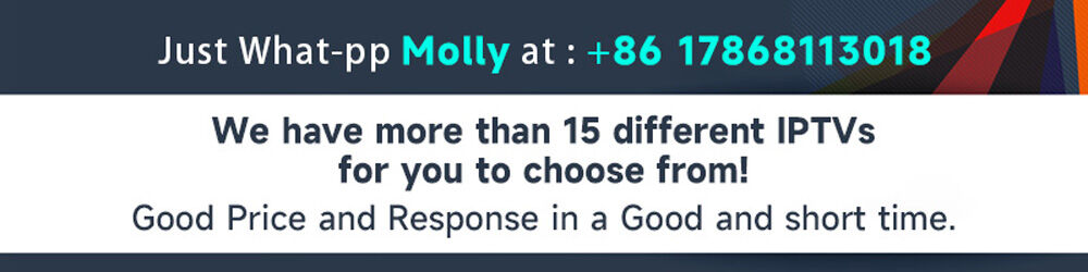 Lion Iptv Server French Iptv M3u Code 12 Months Subscription Live&vod ...