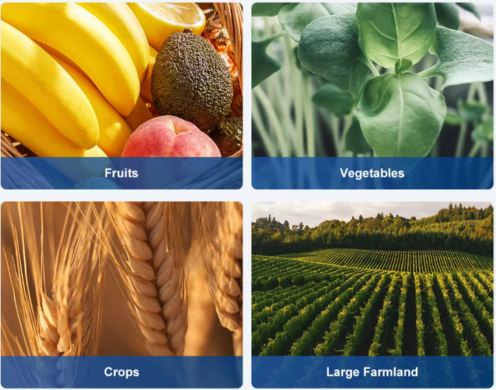 Factory Direct High Quality China Wholesale Map 12-61-0 Water Soluble ...