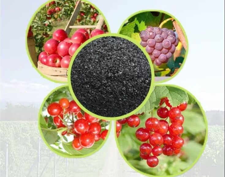 Factory Direct High Quality China Wholesale Map 12-61-0 Water Soluble ...