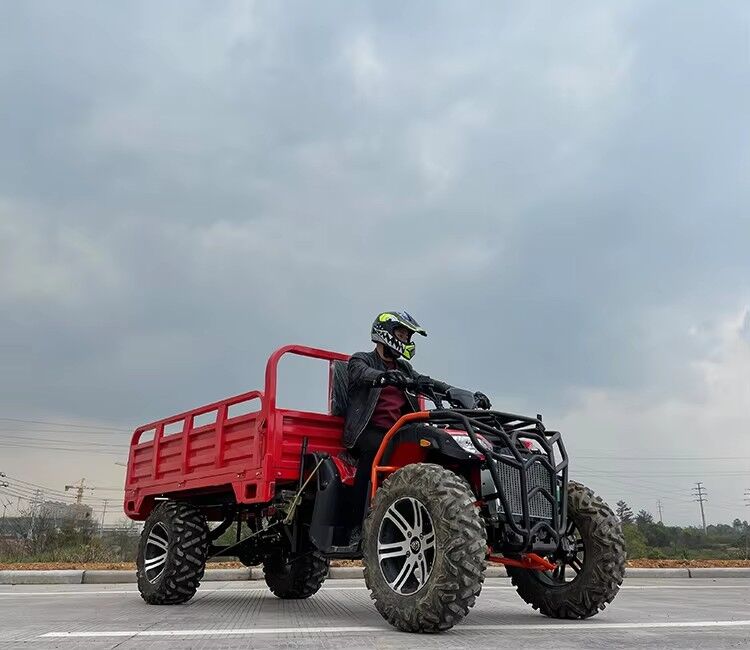 Made In Chinaspecial Design Widely Used Racing Quad Atv Atvs 4x4 For ...