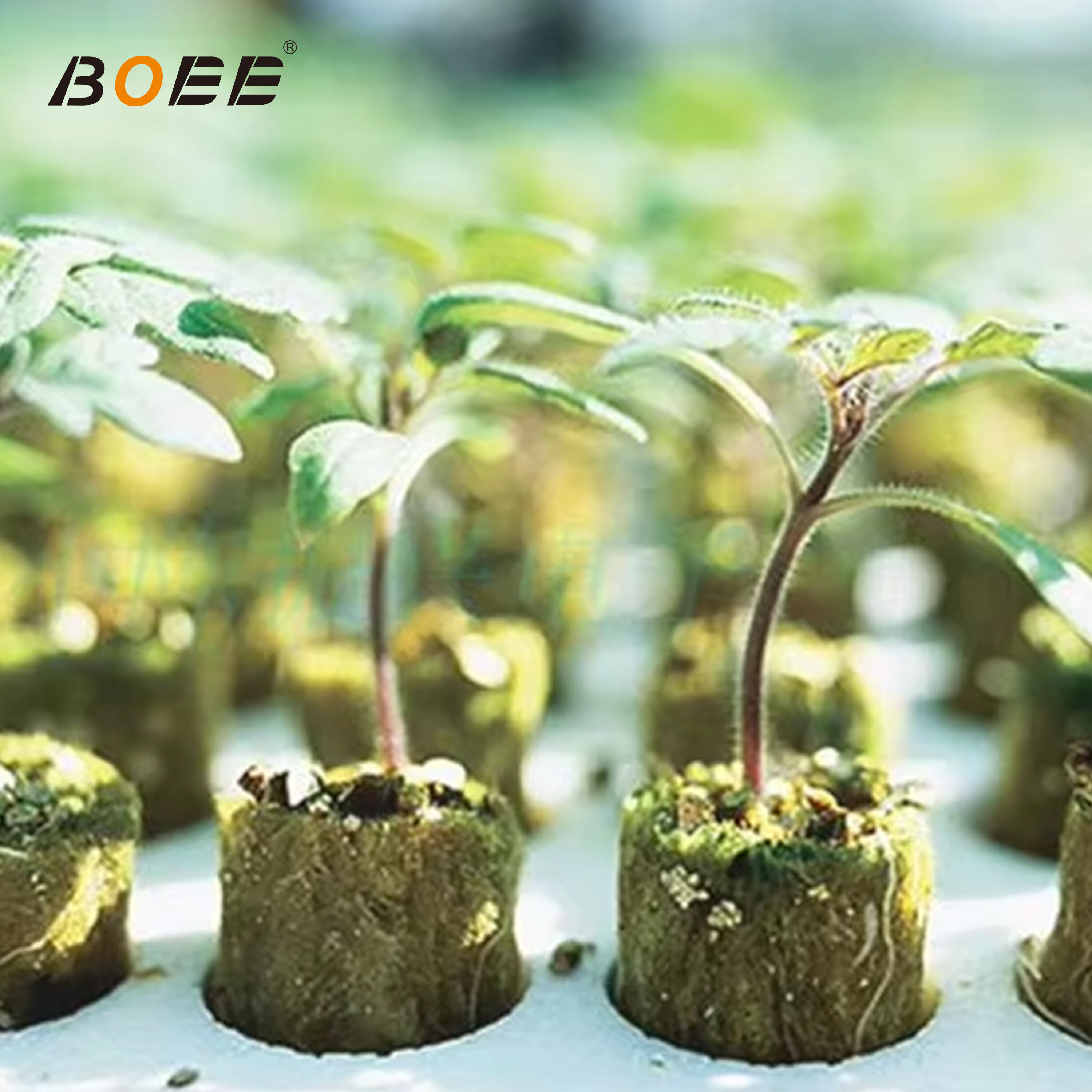 Hot Sale 25x25x25mm 30x30x40mm Rock Hydroponics Wool Grow Cubes For ...