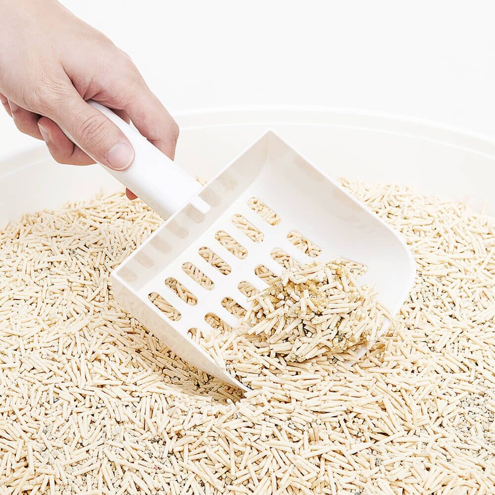 Green Tea 6l 7l 2mm Tofu Cat Litter, Flushable Cat Litter, Bamboo Cat ...