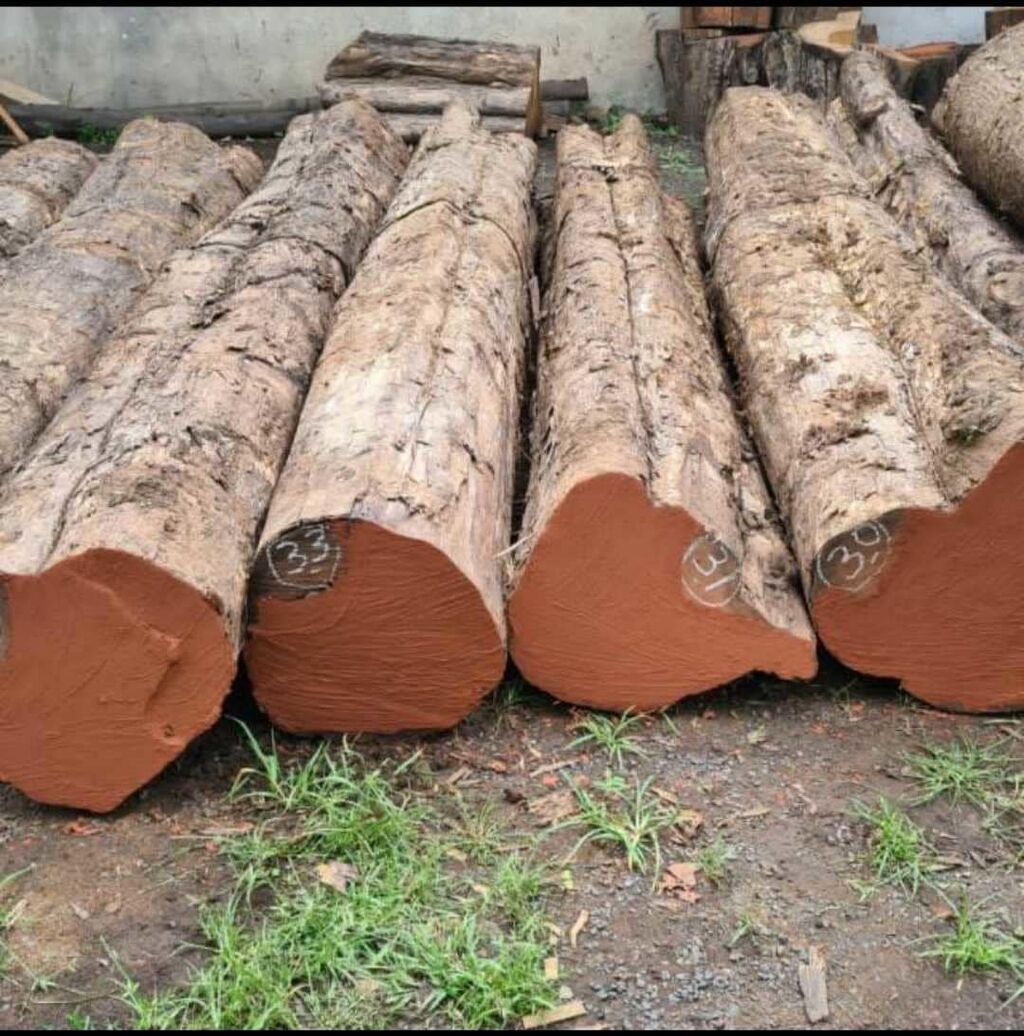 Factory Direct High Quality Czech Republic Wholesale 100% Pure Timber ...