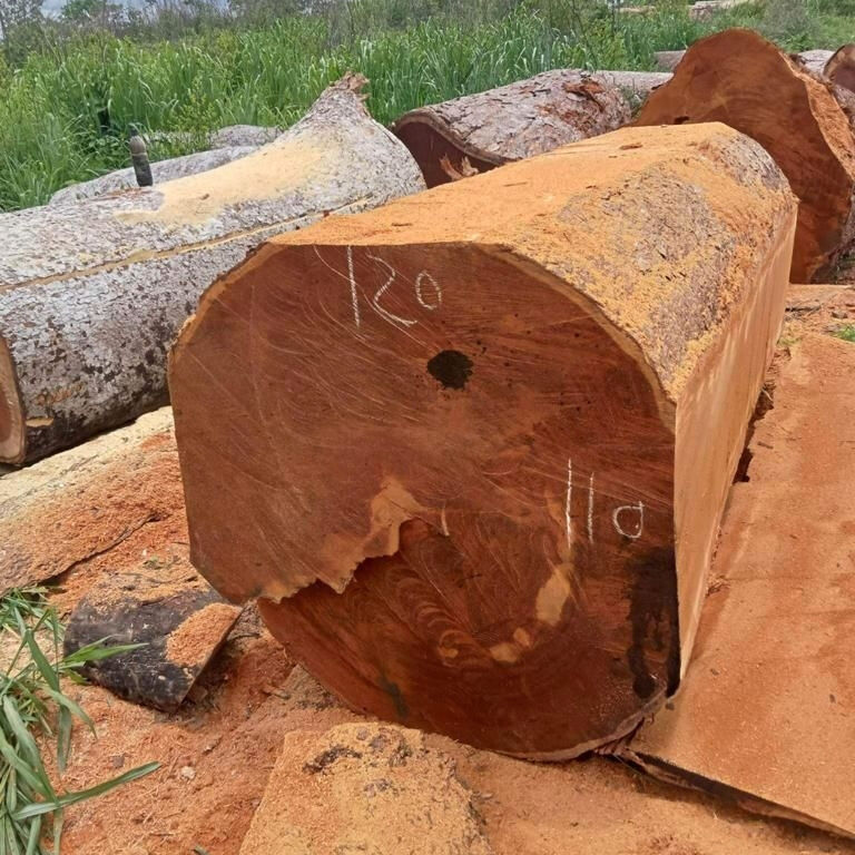 Factory Direct High Quality Czech Republic Wholesale 100% Pure Timber ...