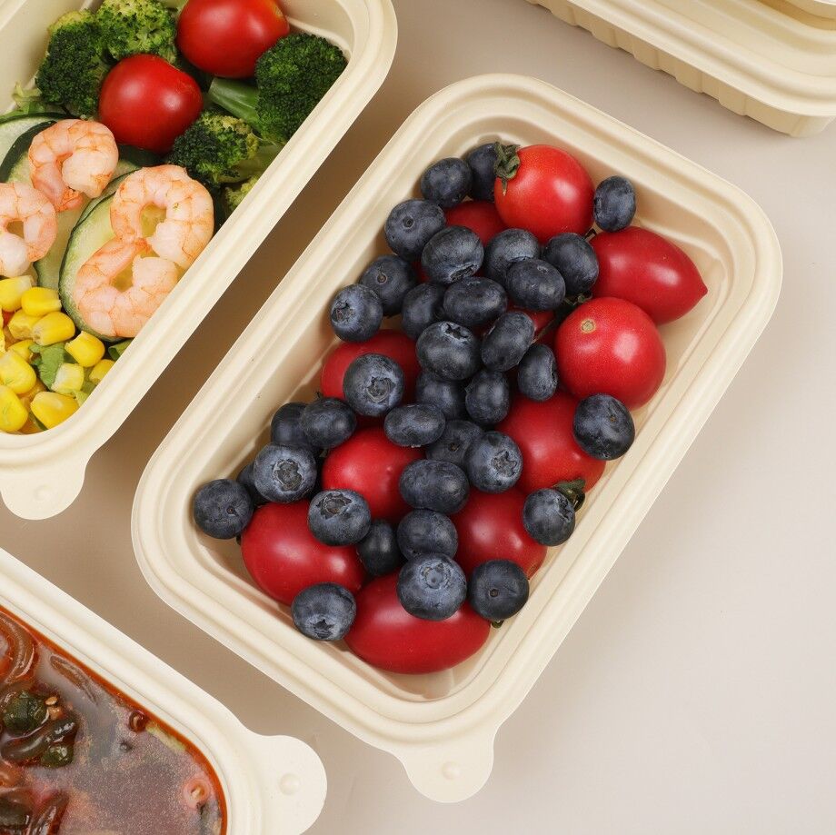 Food Grade Take Away Fast Food Box Wholesale Biodegradable Food ...