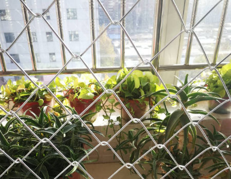 High Quality Of Satile Contemporary Chain-link Fences, All Weather ...