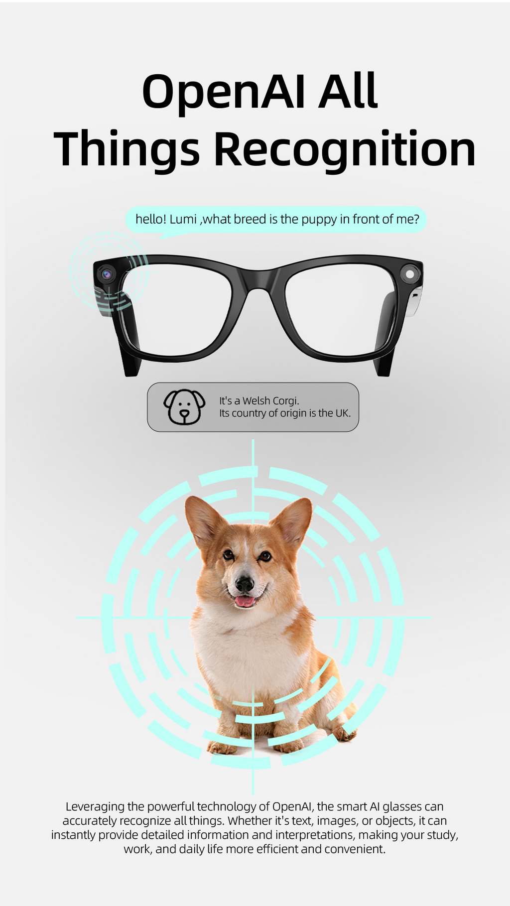 Ai Glasses Anti Shake, Camera Recording, Intelligent Voice Real-time ...