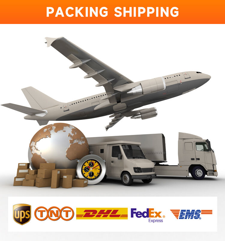 Pp Disposable Rectangular Food Storage Box Logo Custom With Moq Bpa ...