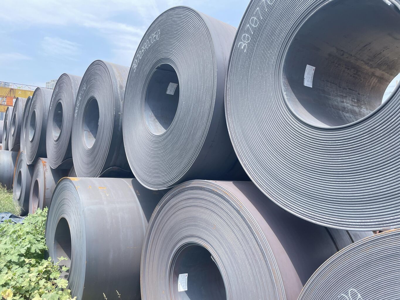 Hrc Carbon Steel Coil Ss400 St37 Q195 Q235 Q355 Hot Rolled Cold Rolled ...