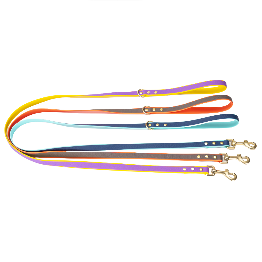 Colorful Pvc Pet Leash Dog Walking Leash Fashion Waterproof Dog Leash ...