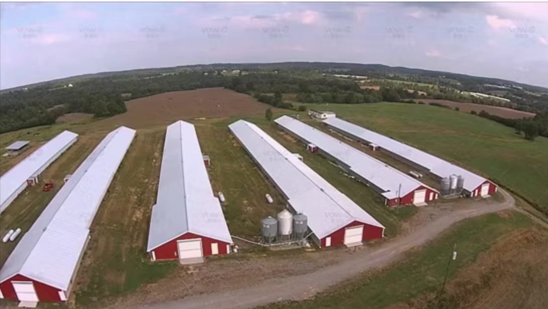 Prefab Steel Structure Animal Poultry Shed Chicken House Building For ...