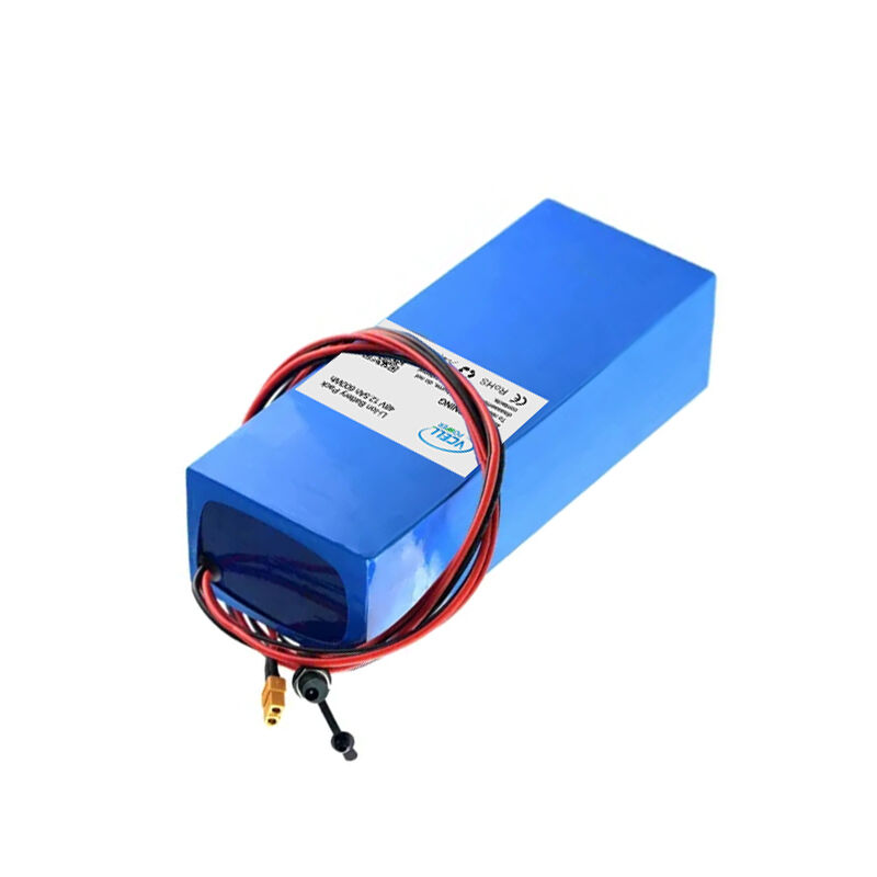Hot Sale 48v Li-ion Battery 12.5ah Lithium-ion Battery Packs For ...