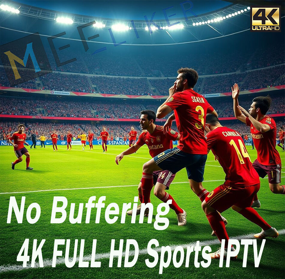 Netherlands Cheap Iptv Subscription Professional Support M3u Vlc ...