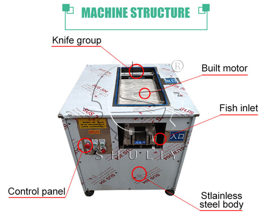 Oblique Fish Filleting Machine Trout Catfish Tilapia Cutting Machine ...