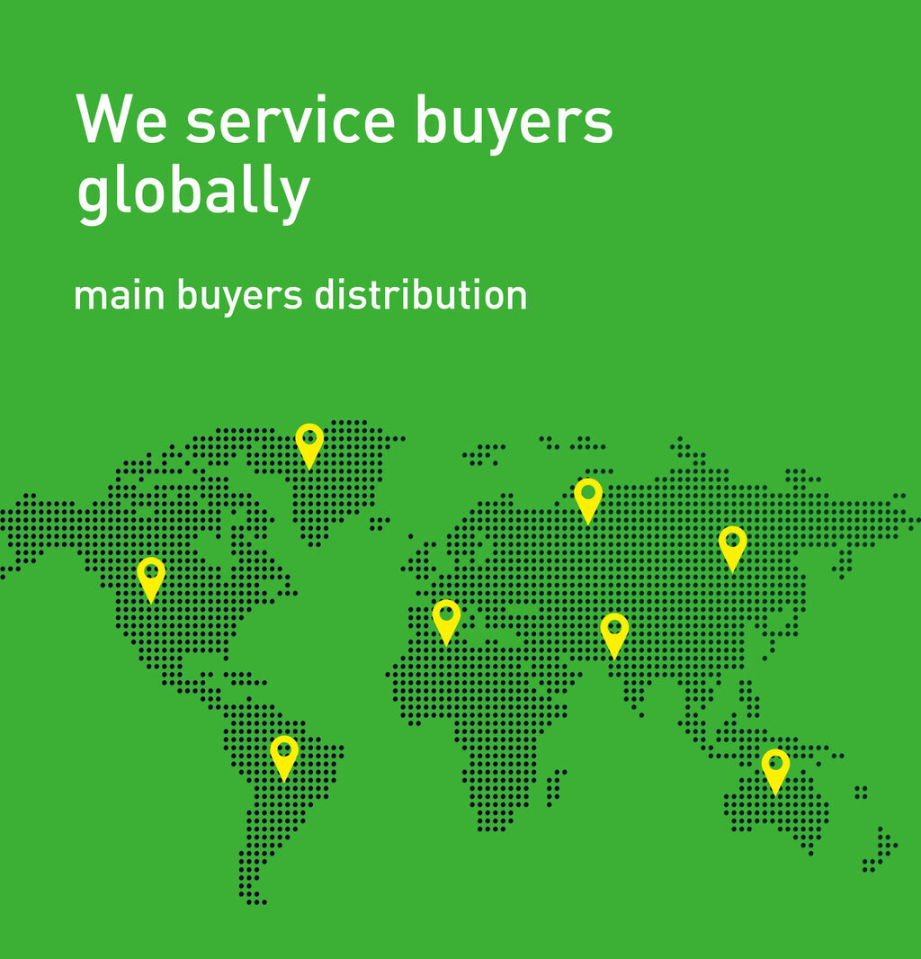 2026 Gradient Neo Hybrid Case Camera Slope Design Scratch Resistant ...