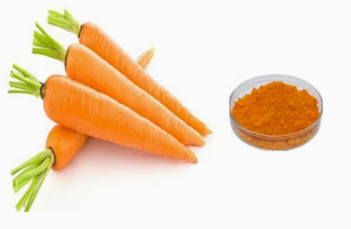 Factory Natural Beta Carotene Powder Colorant 1%, 10% 30% 98% Beta ...