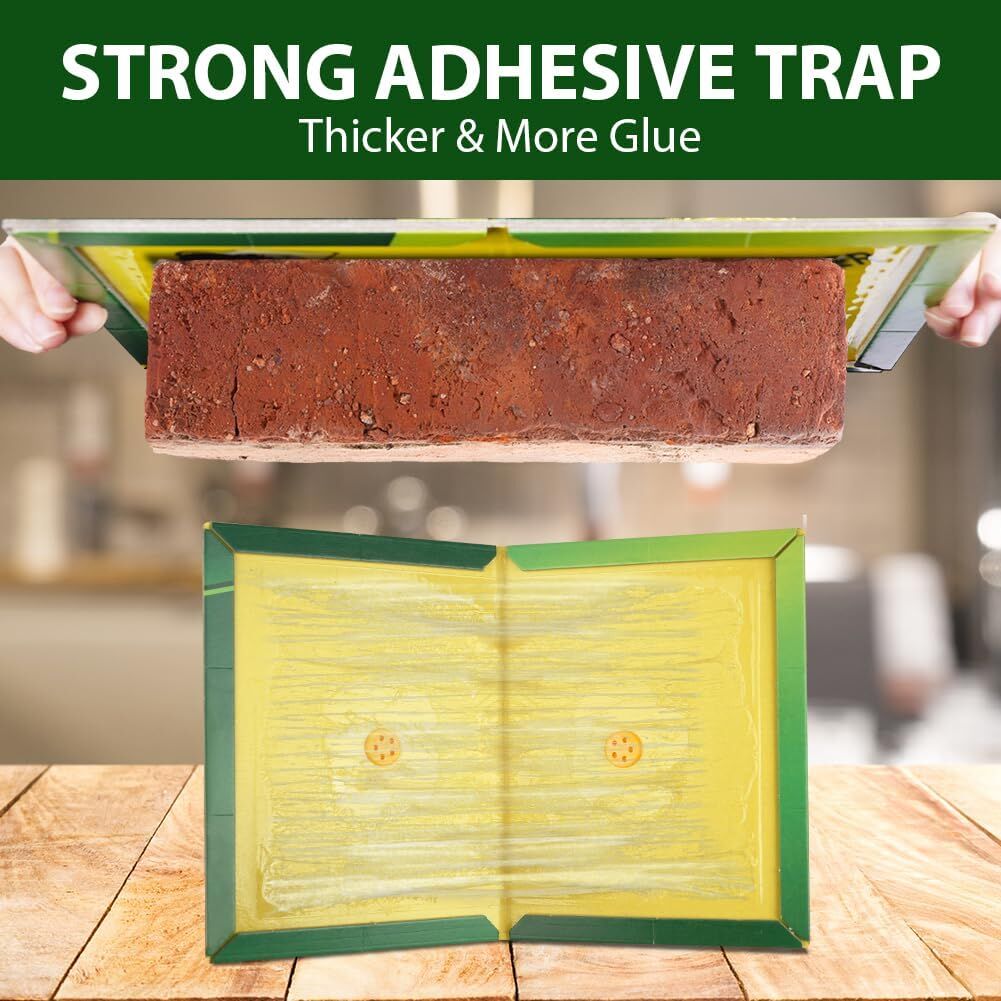 Adhesive Traps, Cricket Trap, Cockroach Traps, Vermin Trap, Strong ...