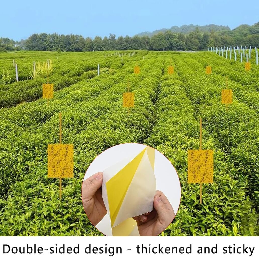 Buy China Wholesale Factory Price Customizable Yellow Sticky Traps ...