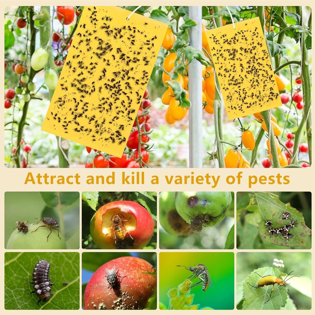 Buy China Wholesale Factory Price Customizable Yellow Sticky Traps ...