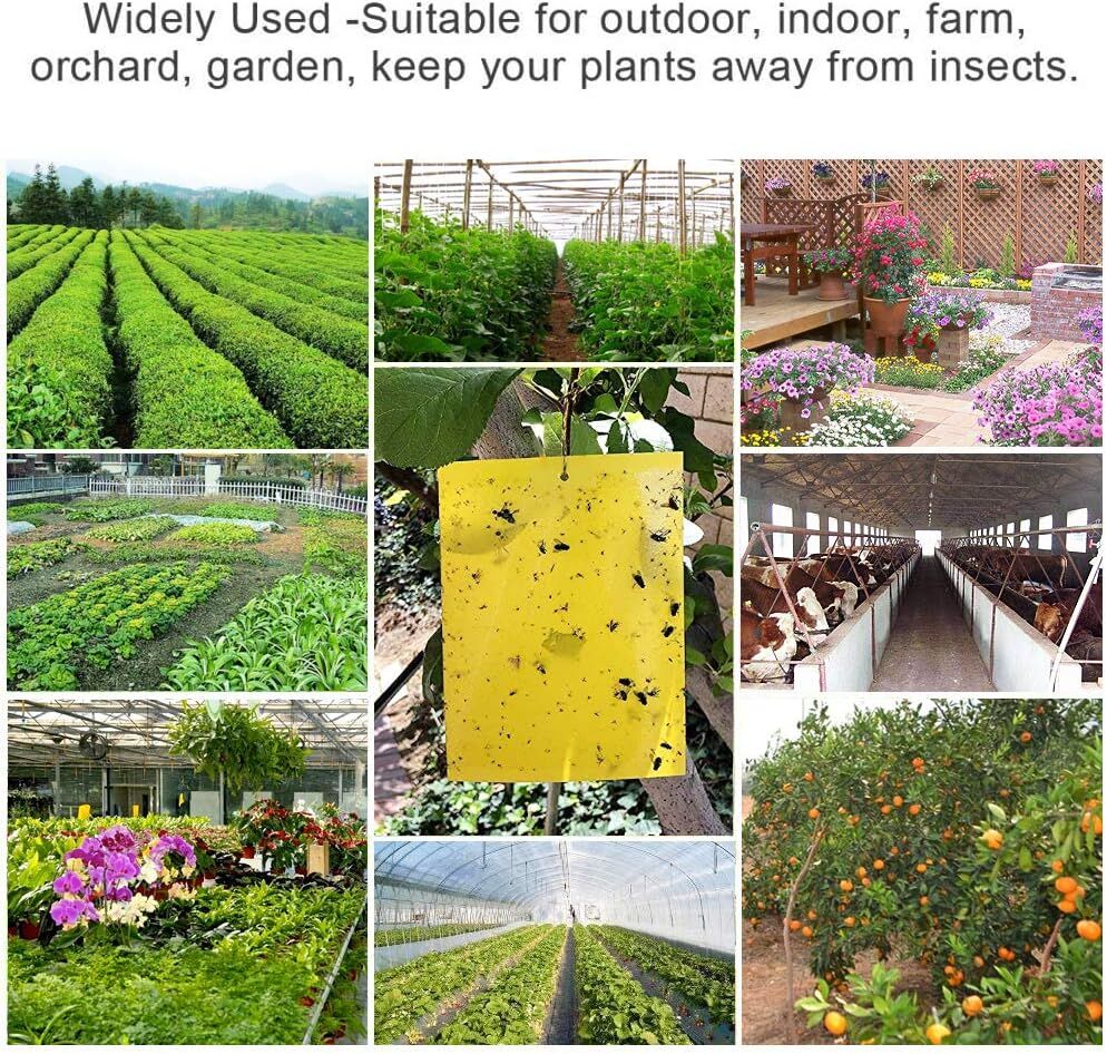 Buy China Wholesale Factory Price Customizable Yellow Sticky Traps ...