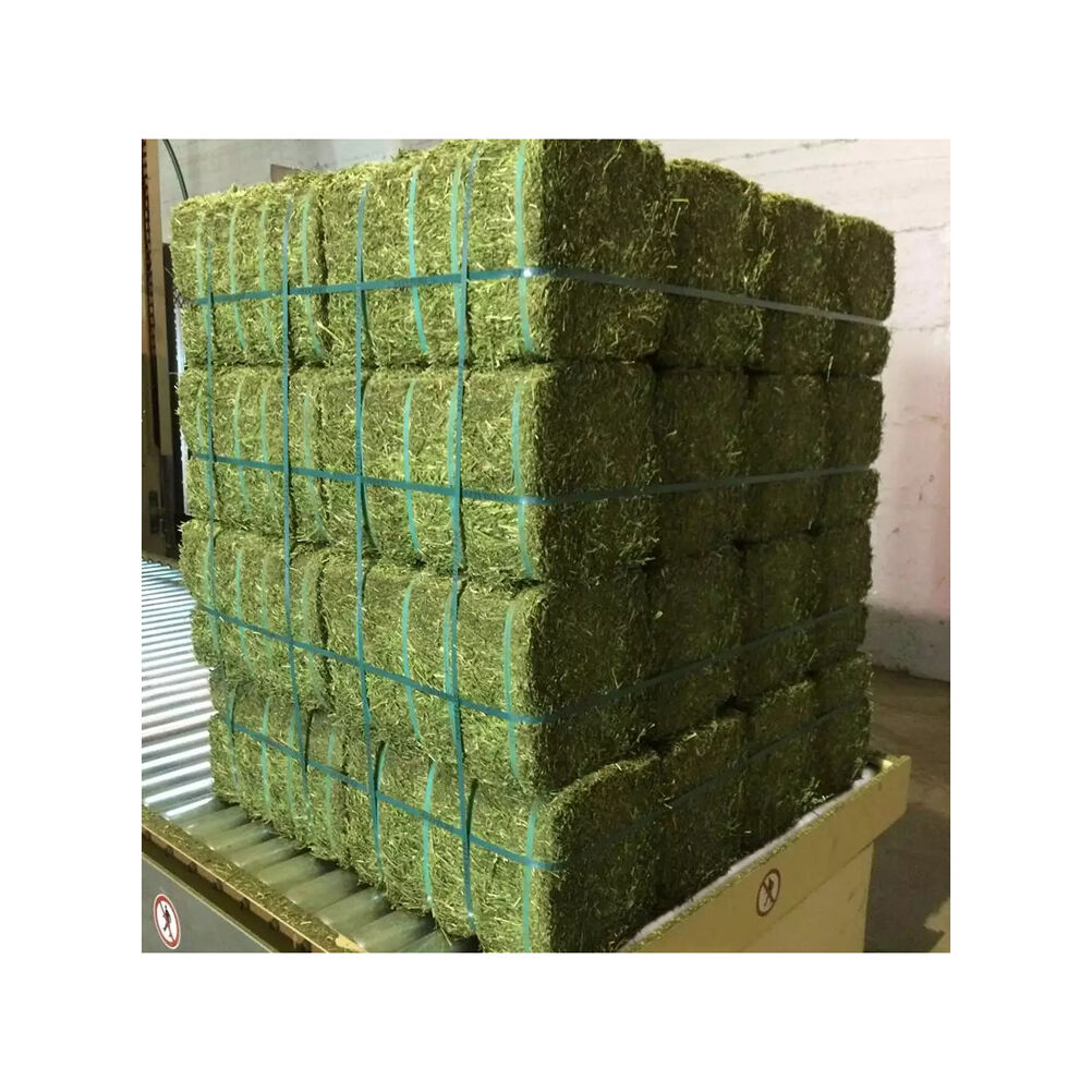 Quality Alfalfa Hay/ Timothy Hay And Lucerne Clover In Bales - Expore ...