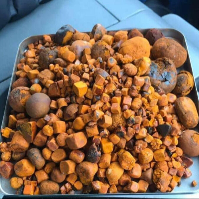 Ox Gallstones / Cattle Gallstones / Animal Gallstone For Sale - United ...