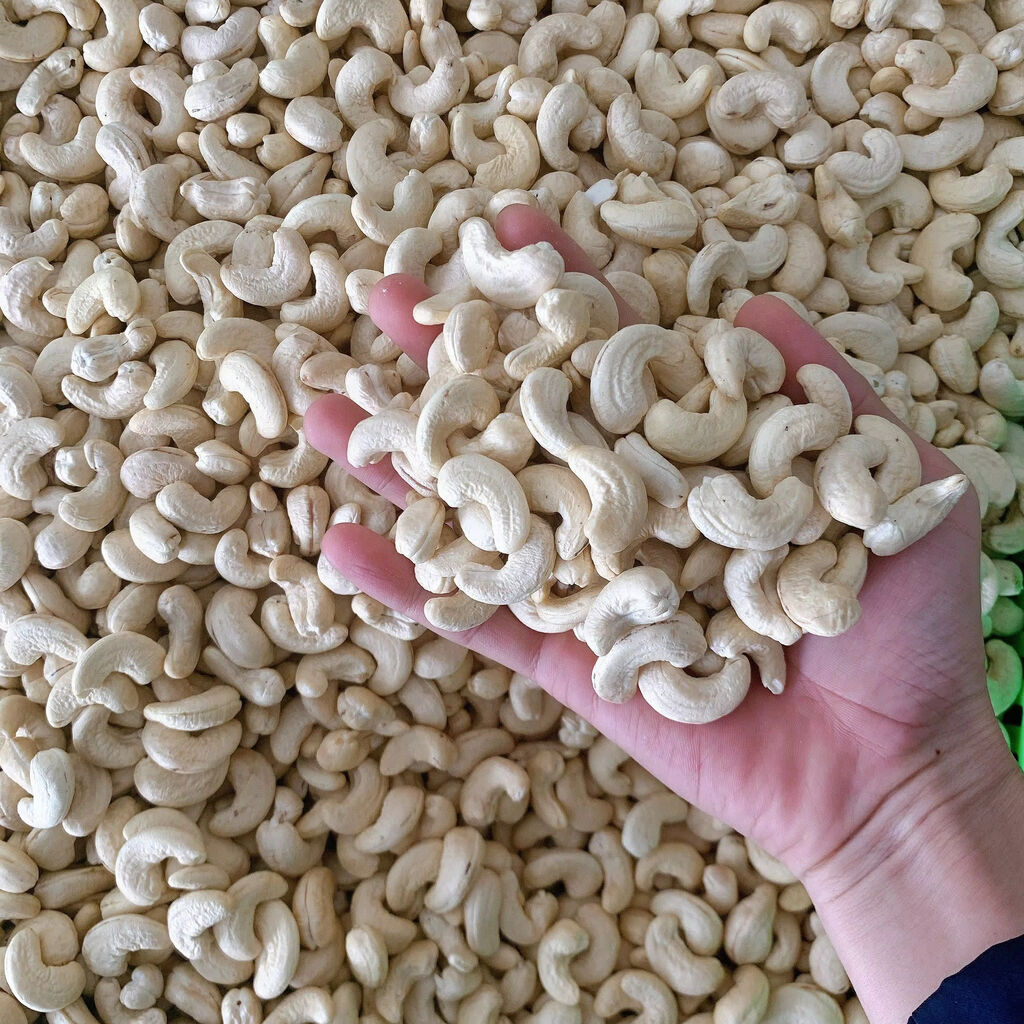 Factory Direct High Quality United States Wholesale Raw Cashew Nuts For ...