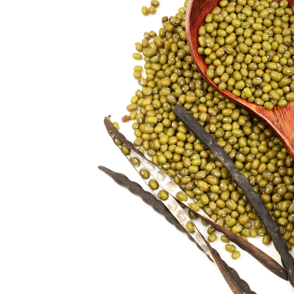 Buy United States Wholesale Premium Green Mung Beans Fresh Bulk Supply ...