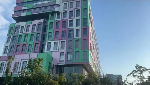 Ergonomic Backpack: Lightweight Comfort For All-day Carry Multi-pocket ...