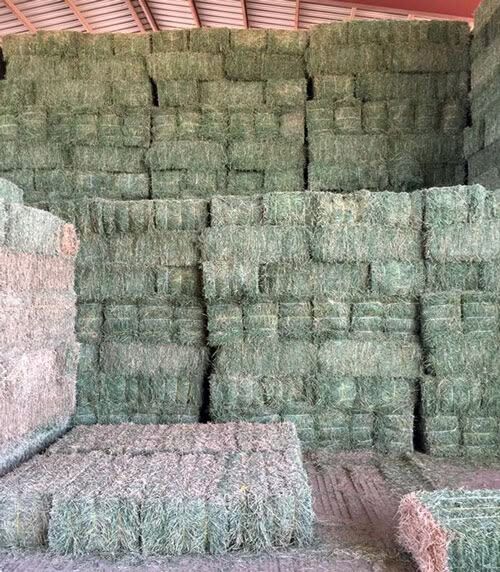 Factory Direct High Quality United States Wholesale Bulk Alfalfa Hay ...