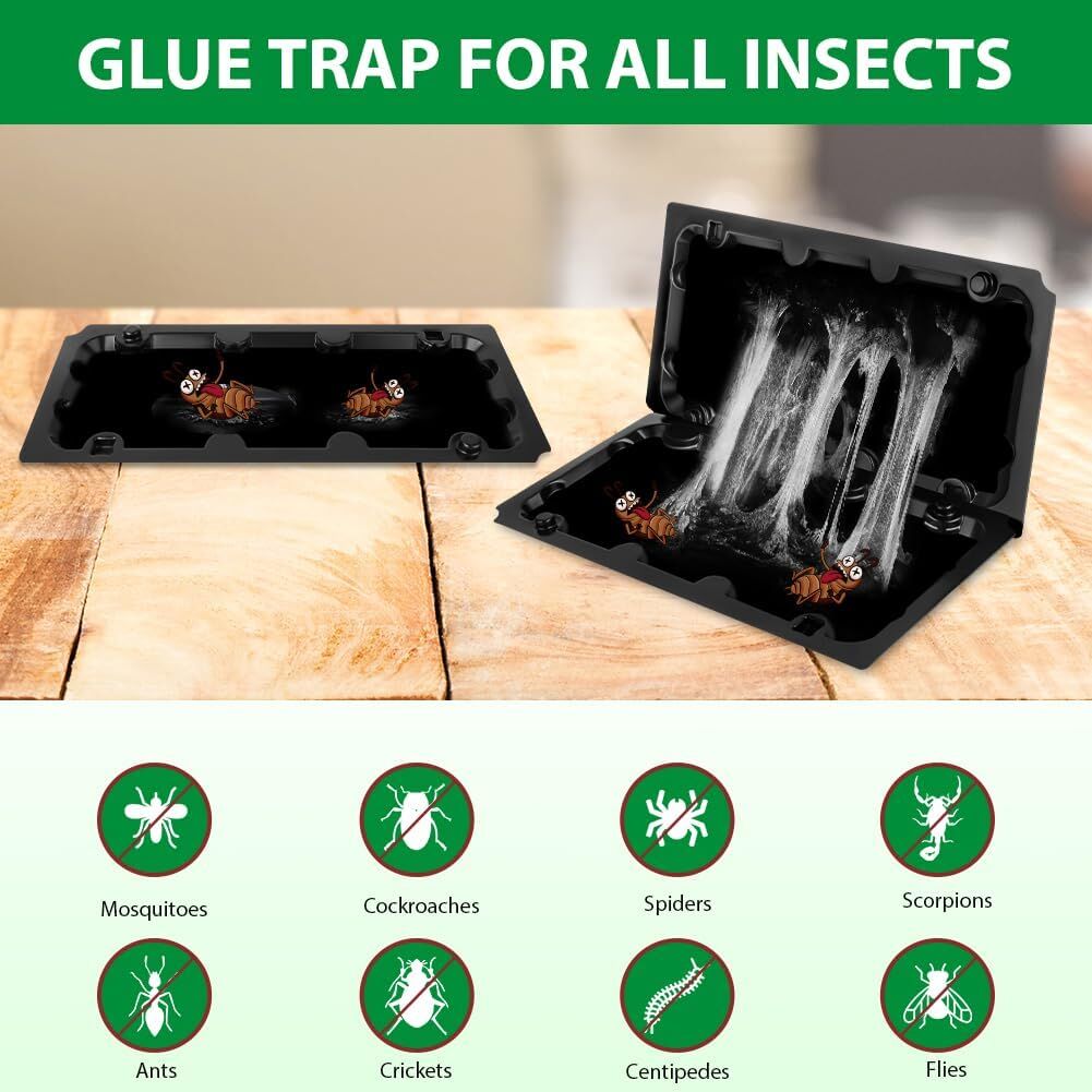 Buy China Wholesale Sticky Mouse Traps, Non-toxic Bulk Glue Boards For ...