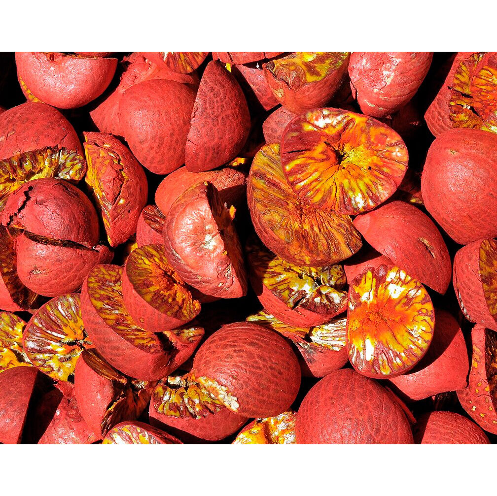 Fresh Betel Nuts For Retail, Industrial Use, And Global Supply, Premium ...