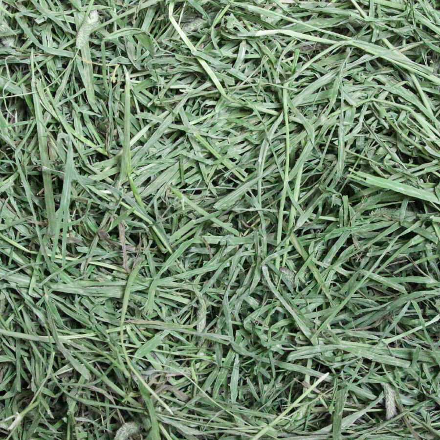 Quality Timothy Hay Bays / Timothy Hay Dehydrated Timothy Hay Cubes ...