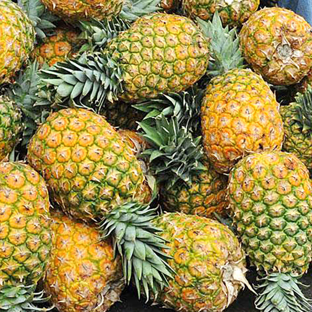 Wholesale Supplier's 100% Natural Sweet Fresh Pineapples In Box ...
