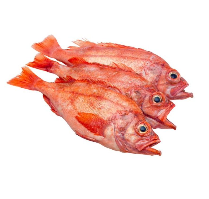 Achetez en gros Perche Du Pacifique Entière Surgelée Iqf (poisson Rouge ...