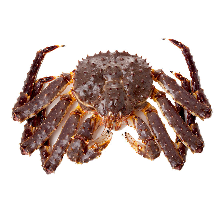 Bulk Buy Canada Wholesale Fresh Frozen Blue Swimming Crab Cut Crab Meat ...