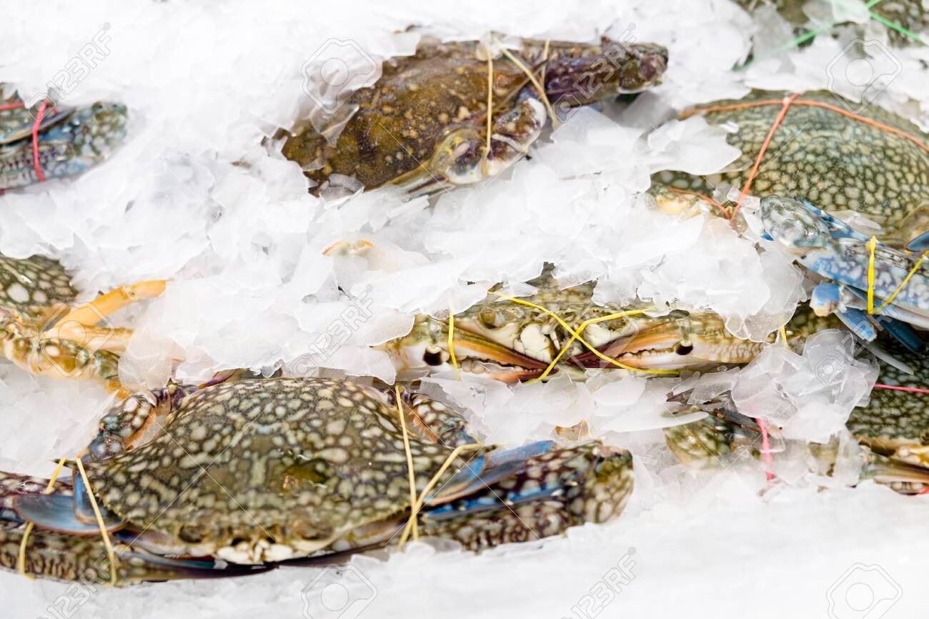 Buy United Kingdom Wholesale Export Fresh Frozen Crab Clusters Supplier ...