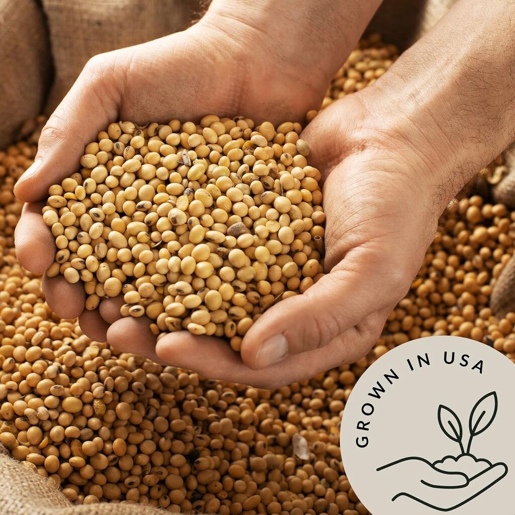 Industrial Grade Non-gmo Soybean Meal With Stable Protein Content $200 ...