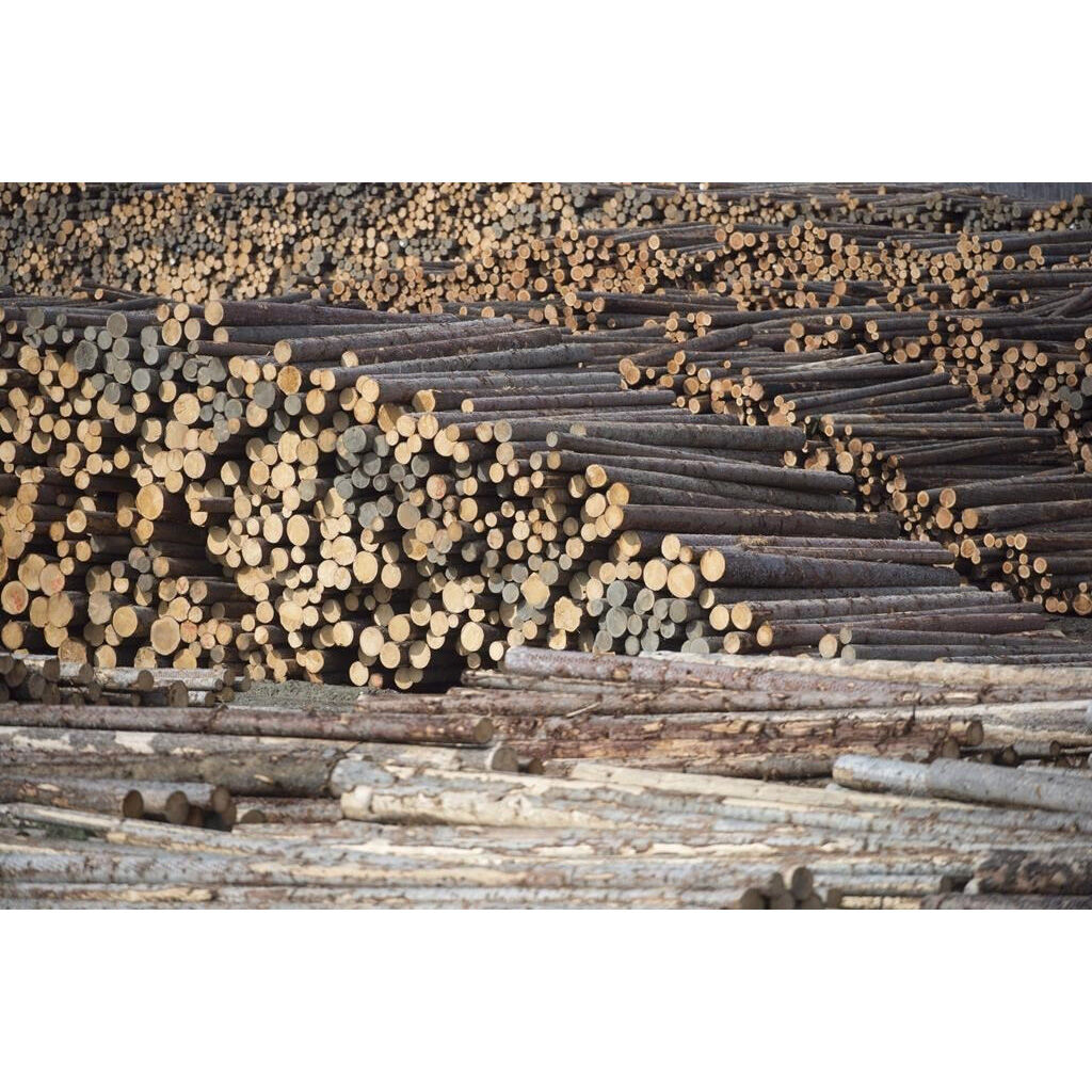 High Grade Hardwood Logs Industrial Logs Durable Wood Material Perfect ...