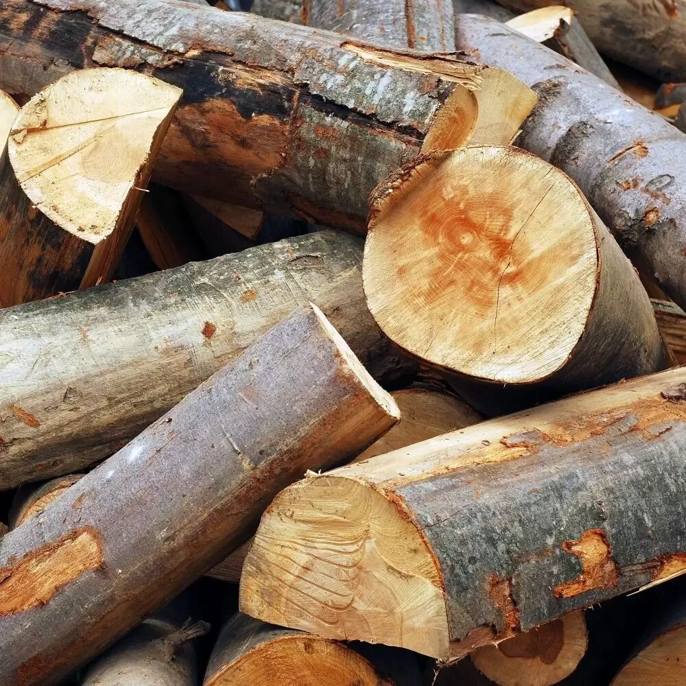 Bulk Buy Philippines Wholesale Natural Hardwood Logs Logs For Stave ...
