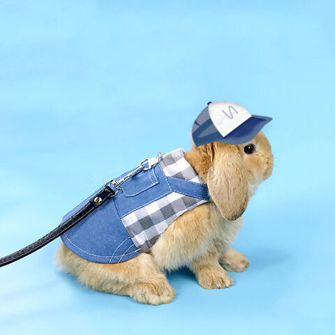 China Adjustable Small Pet Outdoor Bunny Rabbit squirrel Hamster Bunny ...