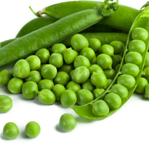 Canada Wholesale Green Peas Large Stock Available Premium quality ...