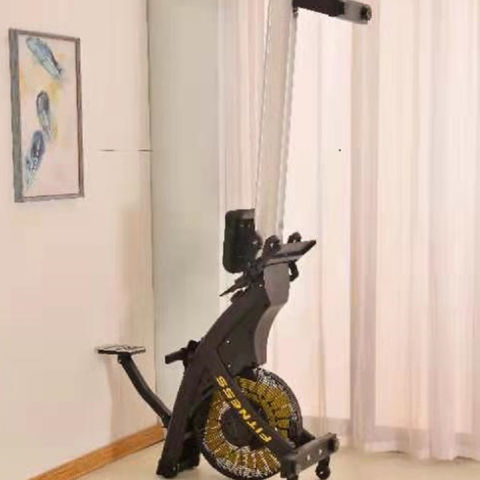 China DESIGEN Retro-styled Commercial fitness ski Rowing Machine on ...