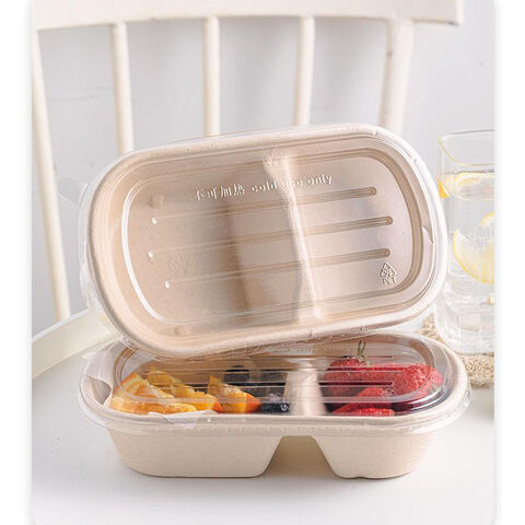 China Disposable food container biodegradable containers simple meals ...